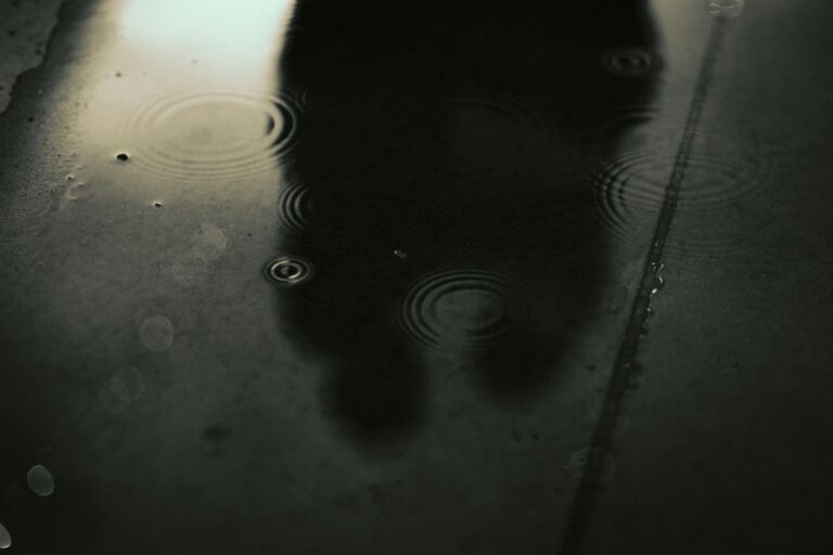 What to Do if You Notice Water Pooling on Your Driveway?